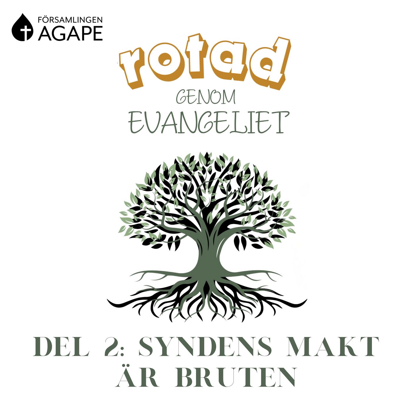 Rotad genom evangeliet: Del 2 - Syndens makt är bruten (Adam Rosman ...