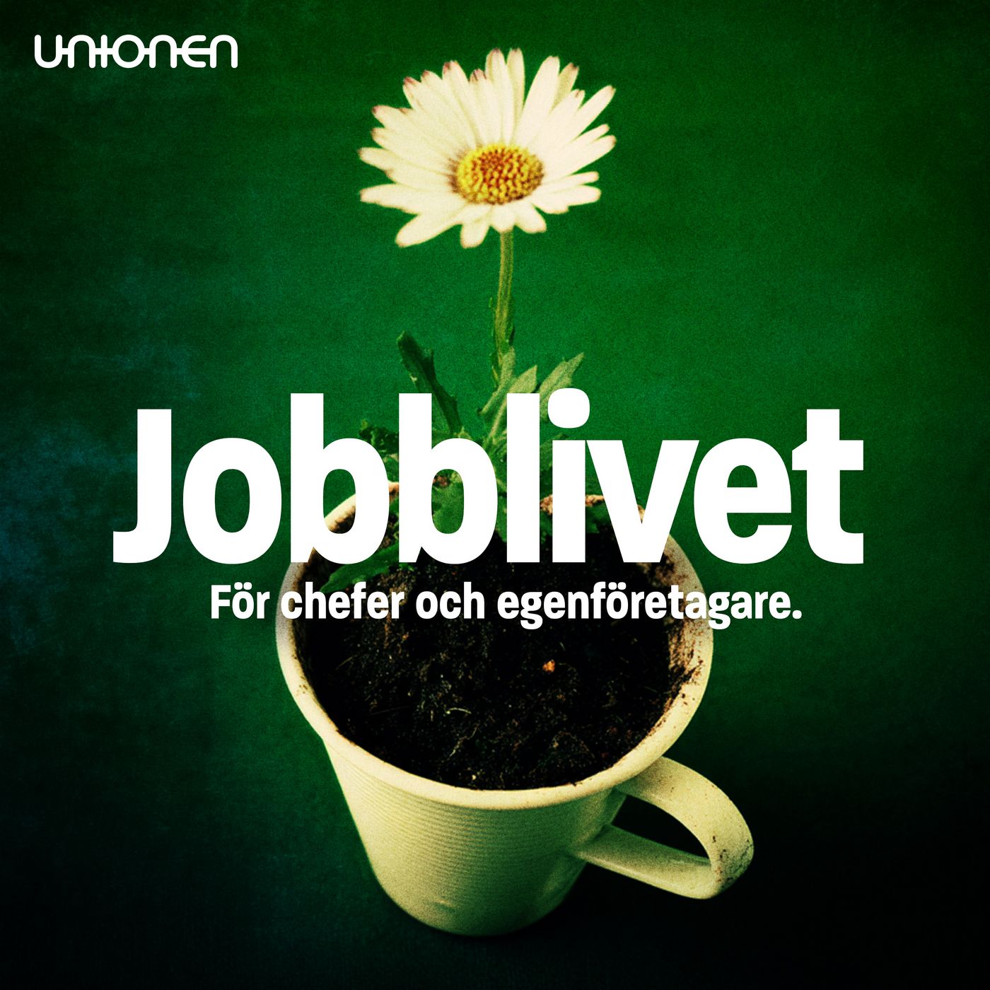 Från kollega till chef: Så klarar du nya jobbet - Jobblivet. För chefer ...